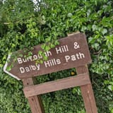 Burrough Hill and Leicestershire Circular Walk, Leicestershire, England ...