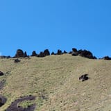 Timber Gulch, Oregon - 61 Reviews, Map | AllTrails