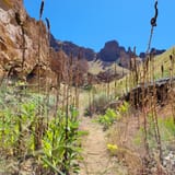 Timber Gulch, Oregon - 61 Reviews, Map | AllTrails