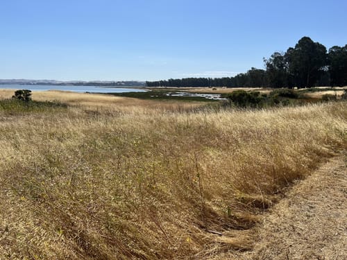 Best 10 Hikes and Trails in Point Pinole Regional Park | AllTrails