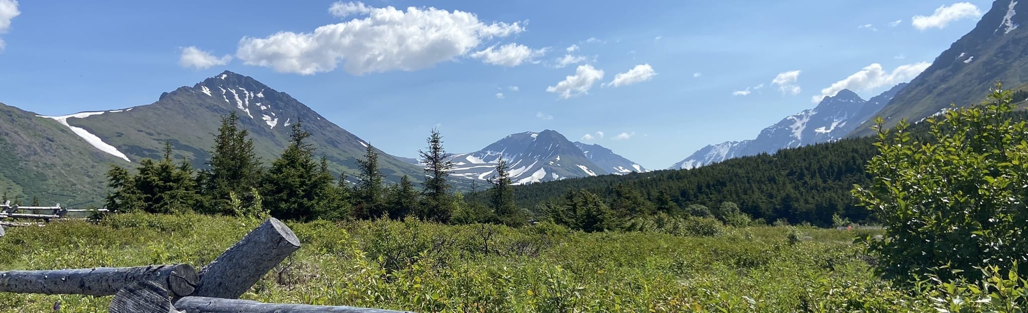 Anchorage Overlook Trail: 87 Fotos - Alaska | AllTrails