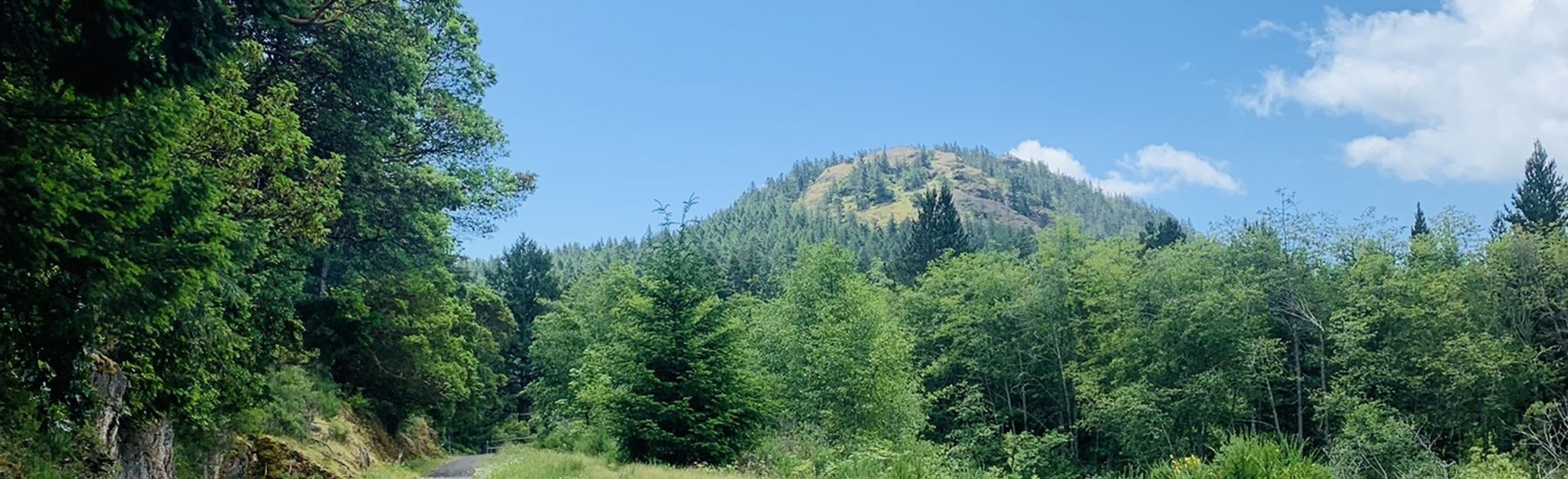 Sooke Wilderness Trail to Wolf Hill, British Columbia, Canada - 142 ...