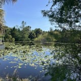 Freedom Park Loop, Florida - 225 Reviews, Map | AllTrails