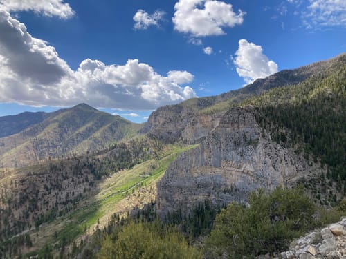 2023 Best 10 Trails and Hikes in Mount Charleston | AllTrails