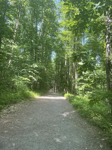 2023 Best 10 Long Trails in Etlan | AllTrails