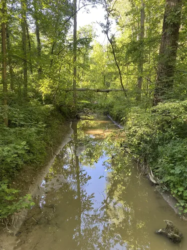 Best Hikes and Trails in Midland City Forest | AllTrails