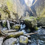 Boulder Cave Trail, Washington - 192 Reviews, Map | AllTrails