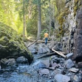 Boulder Cave Trail, Washington - 192 Reviews, Map | AllTrails