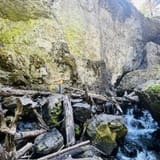 Boulder Cave Trail, Washington - 192 Reviews, Map | AllTrails