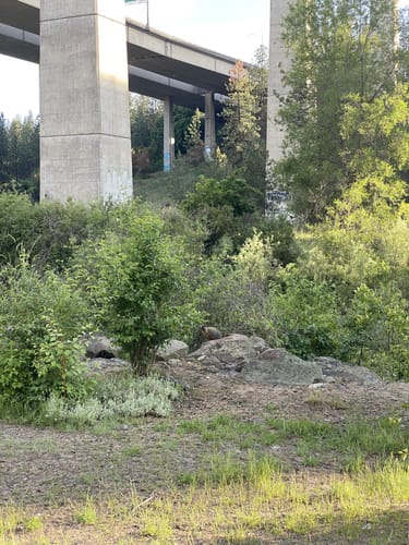 Best Hikes and Trails in High Bridge Park | AllTrails