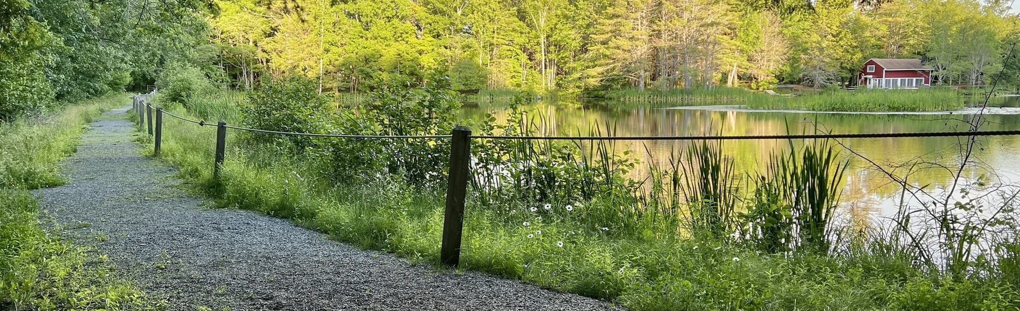 AllTrails | Trail of the Senses, Pushaw, and Pond Loop: 82 Reviews, Map ...