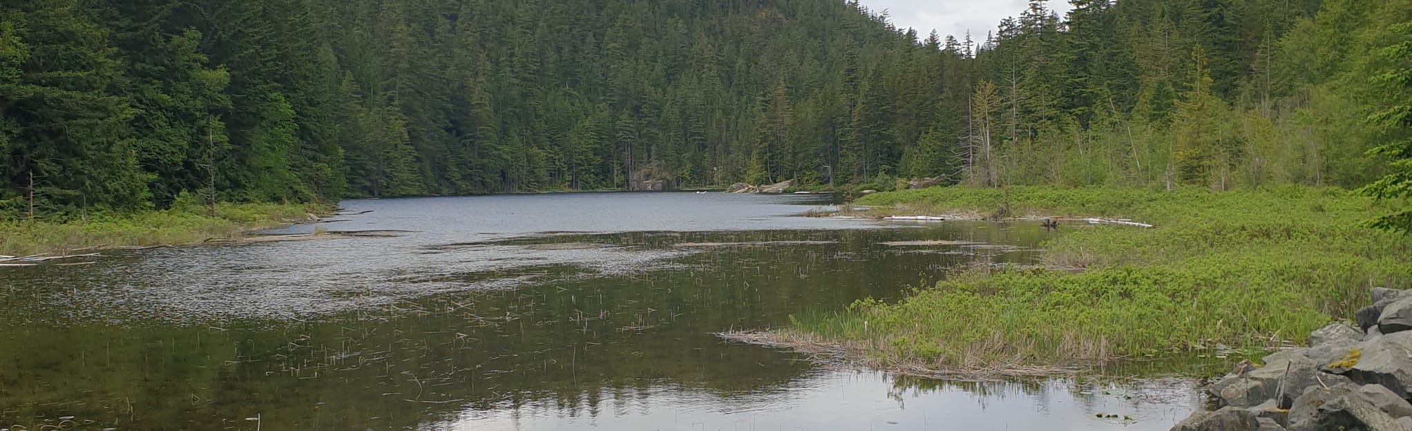 Tantalus View Trail via Connector Trail | Map, Guide - British Columbia ...