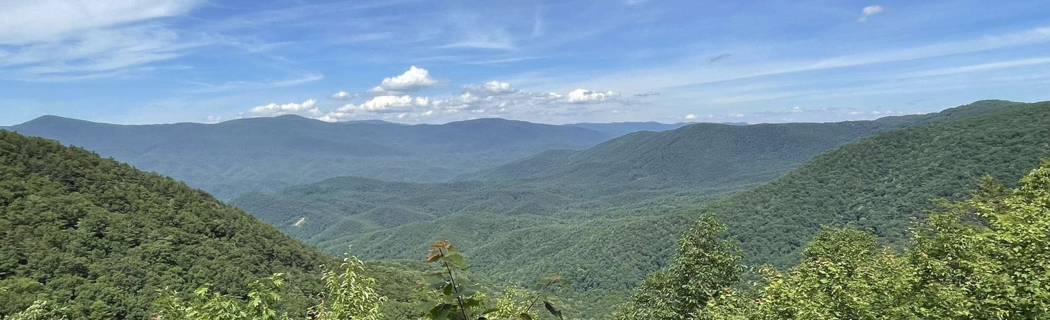 Cool Springs Overlook, Georgia - 133 Reviews, Map | AllTrails