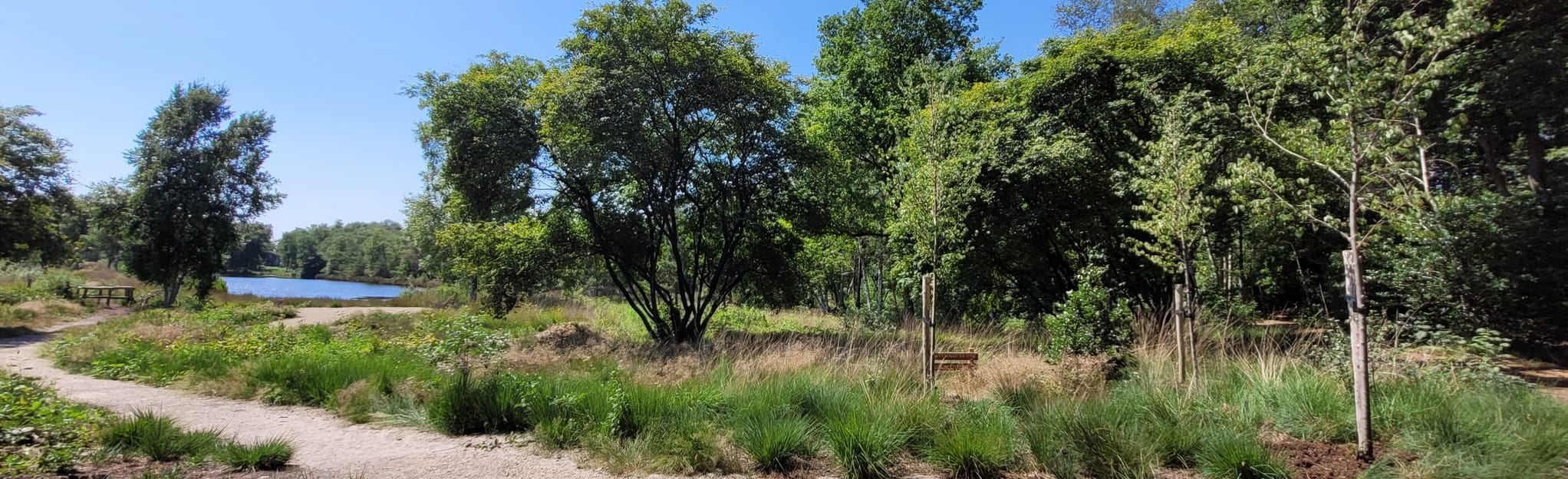 Hulsen/Nijverdal/Wilgenweerd Blauwe Wandelroute: 48 foto's - Overijssel ...