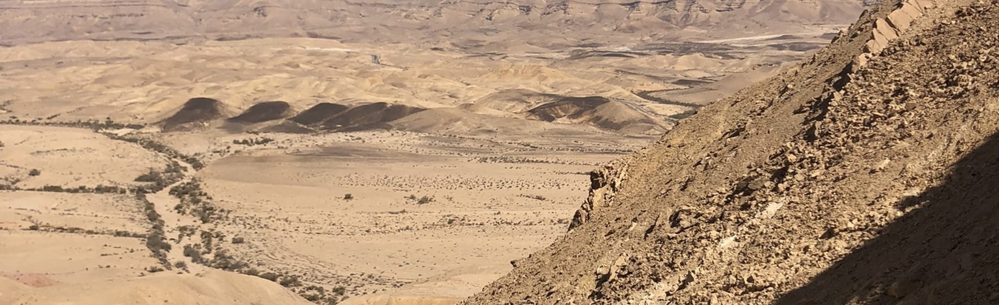 כרבולת צפונית ונחל אלות מעגלי - Southern District HaDarom, Israel ...