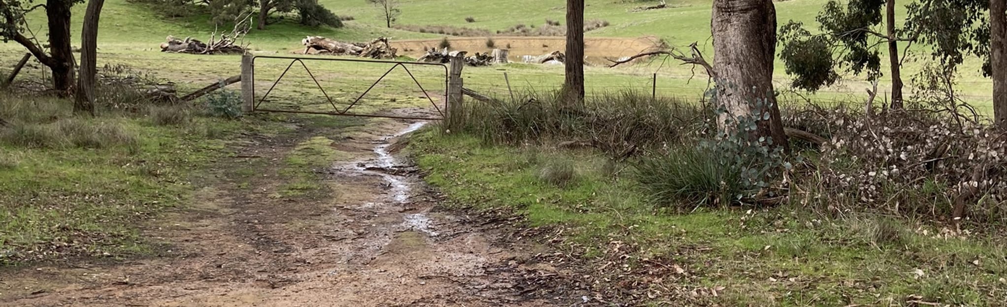 Spring Plains Circuit: 6 Reviews, Map - Victoria, Australia | AllTrails