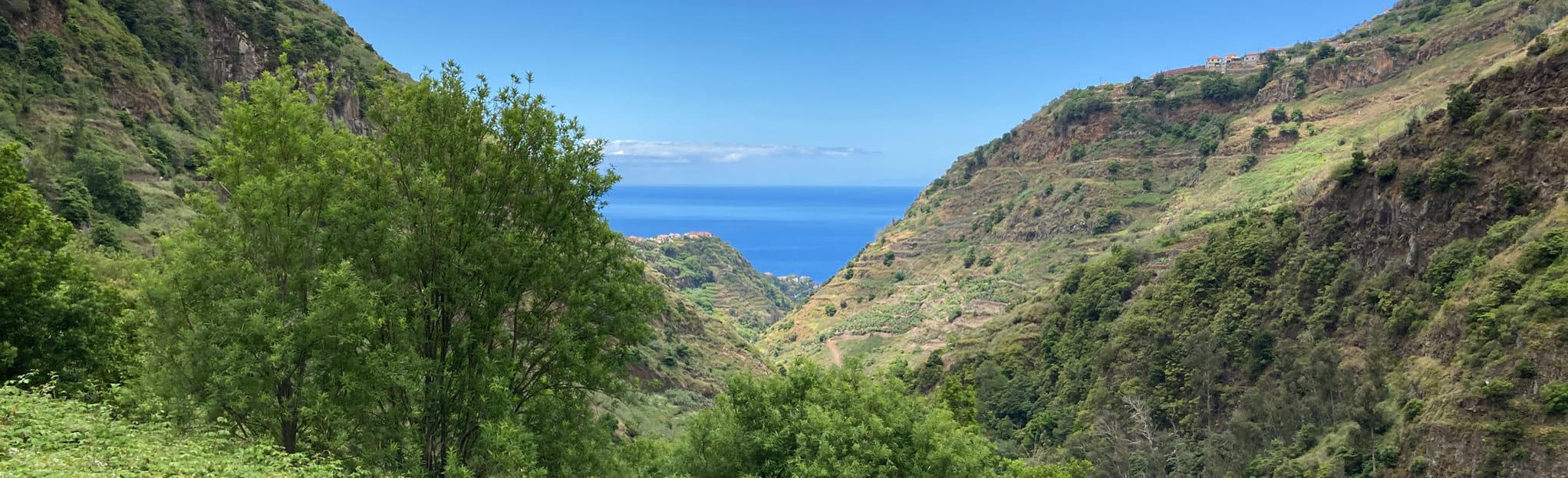 Levada Nova e Levada do Moinho: 611 bilder – Madeira, Portugal | AllTrails