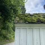 Gold Mine Loop Trail, Maryland - 815 Reviews, Map | AllTrails