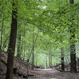 Gold Mine Loop Trail, Maryland - 815 Reviews, Map | AllTrails