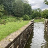 Gold Mine Loop Trail, Maryland - 815 Reviews, Map | AllTrails