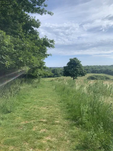 Best City Walk Trails in High Weald National Landscape (AONB) | AllTrails