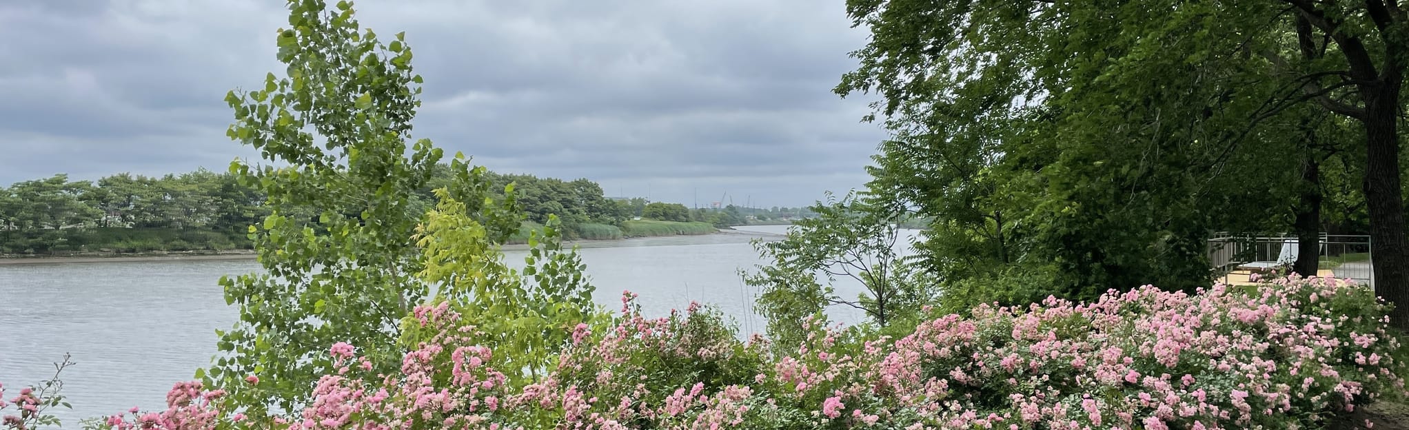 Riverfront Park Path | Mapa, Roteiro - New Jersey | AllTrails