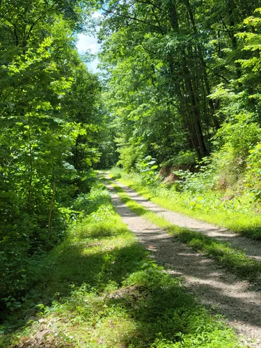 10 Best Hikes and Trails in Kanawha State Forest | AllTrails