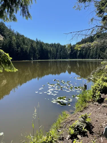 10 Best Trails and Hikes in Pender Island | AllTrails