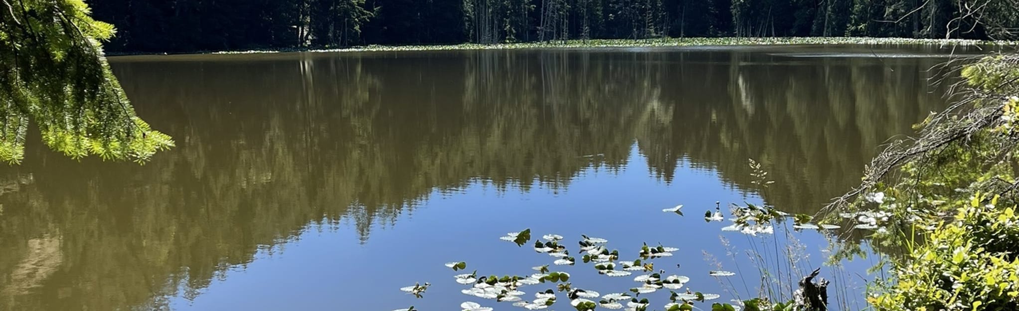 Roe Lake Loop, British Columbia, Canada - 80 Reviews, Map | AllTrails