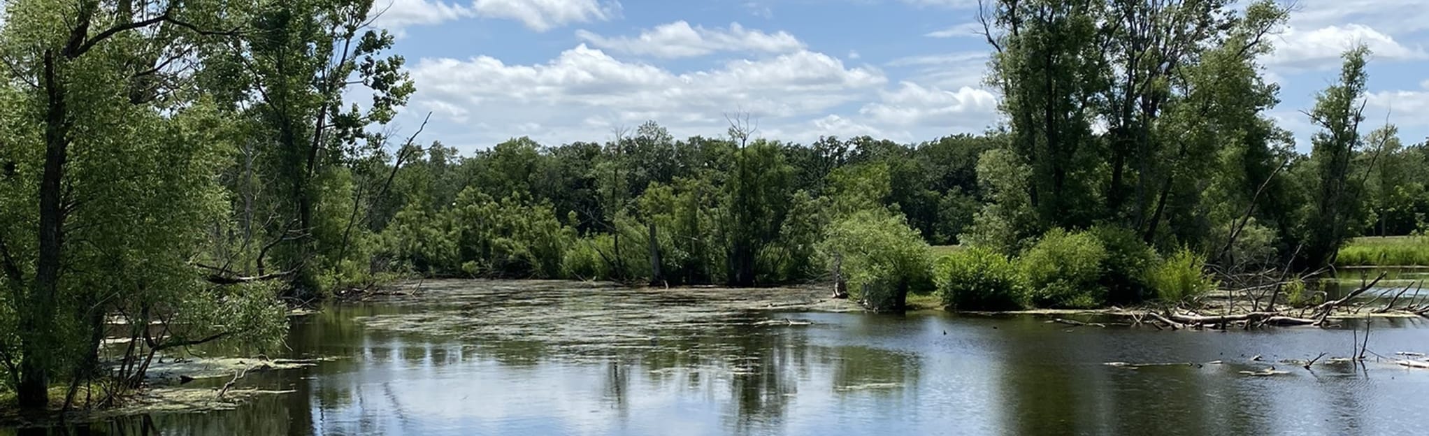 Pond Loop and Covered Bridge Trail, Minnesota - 10 Reviews, Map | AllTrails