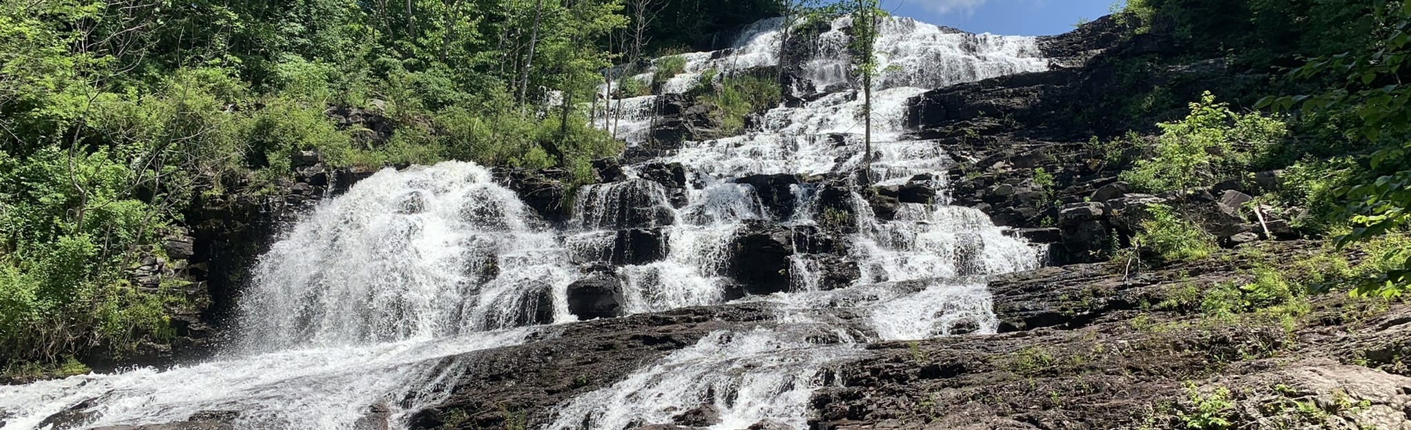 Watres Falls [PROPRIETÀ PRIVATA]: 252 foto - Pennsylvania | AllTrails