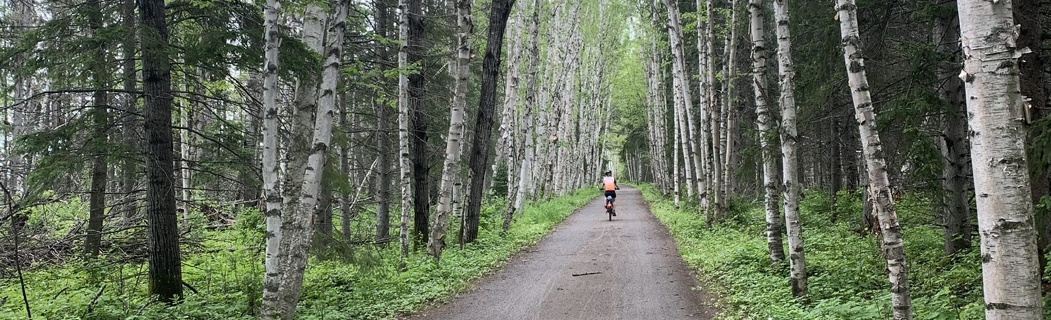 Pointe-Taillon Path, Quebec, Canada - 54 Reviews, Map | AllTrails