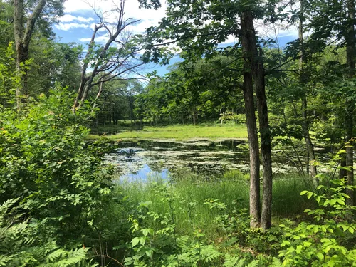 Best Hikes and Trails in Haugen | AllTrails