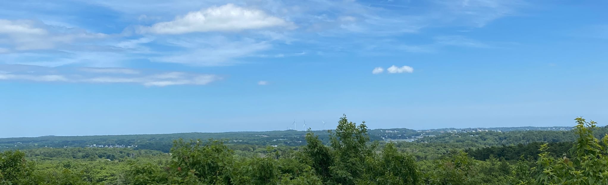 Mount Avalon Loop, Massachusetts - 59 Reviews, Map | AllTrails