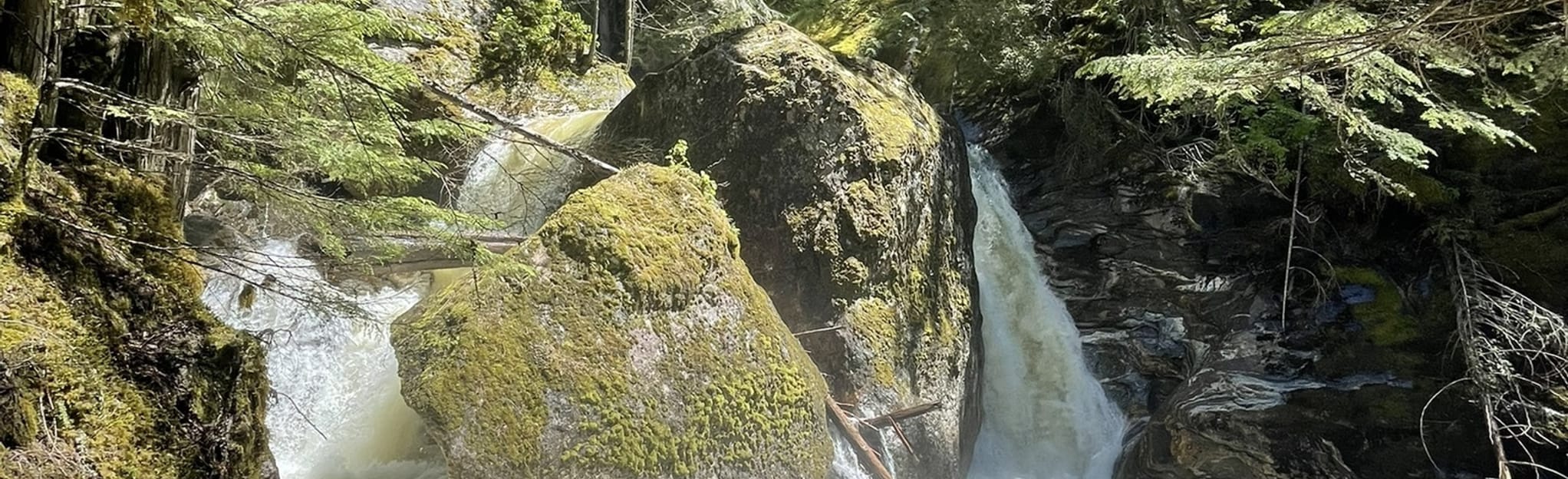 Sicamous Creek Falls Trail, British Columbia, Canada - 75 Reviews, Map ...