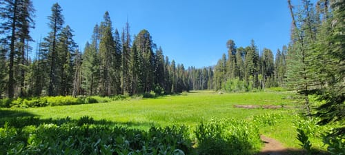 2023 Best 10 Trails and Hikes in Three Rivers | AllTrails