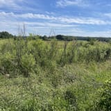 Sugar River State Trail, Wisconsin - 243 Reviews, Map | AllTrails
