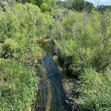 Sugar River State Trail, Wisconsin - 243 Reviews, Map | AllTrails