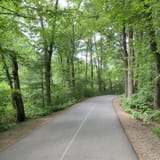 Breakheart Reservation Loop, Massachusetts - 818 Reviews, Map | AllTrails