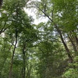 Breakheart Reservation Loop, Massachusetts - 818 Reviews, Map | AllTrails