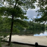 Breakheart Reservation Loop, Massachusetts - 818 Reviews, Map | AllTrails