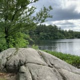 Breakheart Reservation Loop, Massachusetts - 818 Reviews, Map | AllTrails