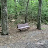 Breakheart Reservation Loop, Massachusetts - 818 Reviews, Map | AllTrails