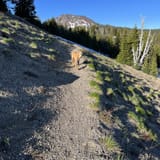 Broken Top Loop, Oregon - 259 Reviews, Map | AllTrails