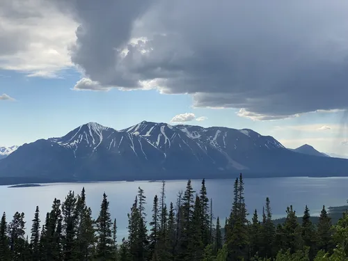 Atlin : les meilleures randonnées avec un lac en 2023 | AllTrails