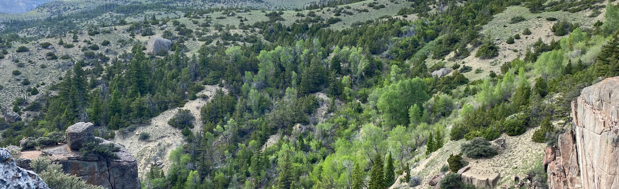 Shell Falls Interpretive Site, Wyoming - 28 Reviews, Map | AllTrails