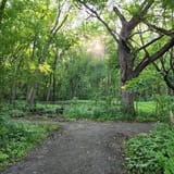 Courthouse Park, Minnesota - 52 Reviews, Map | AllTrails