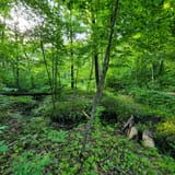 Courthouse Park, Minnesota - 64 Reviews, Map | AllTrails