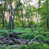 Courthouse Park, Minnesota - 64 Reviews, Map | AllTrails