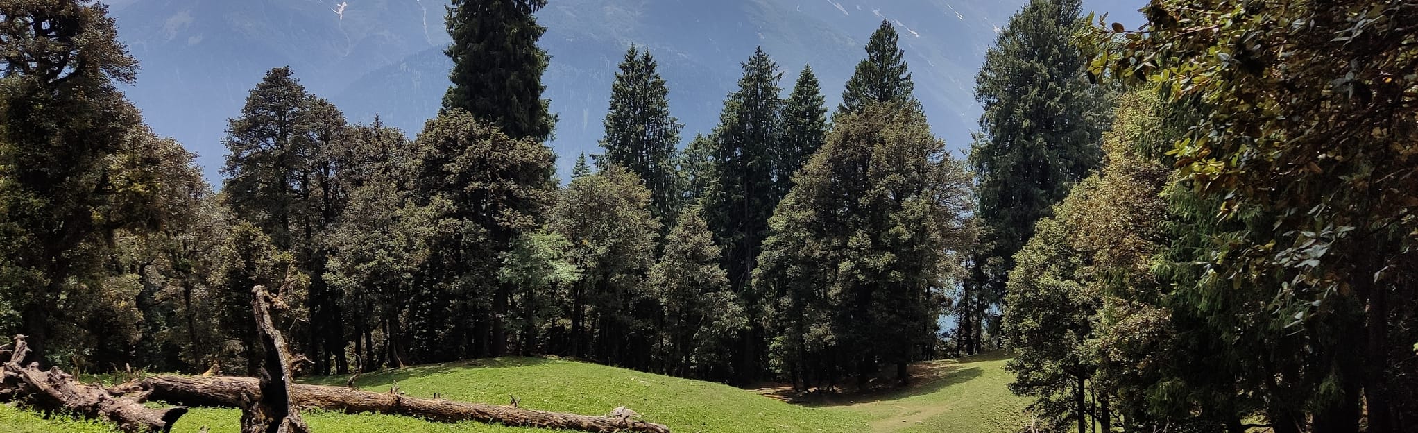 Vashisht - Pandu Ropa Trail: 15 foto's - Himachal Pradesh, India ...